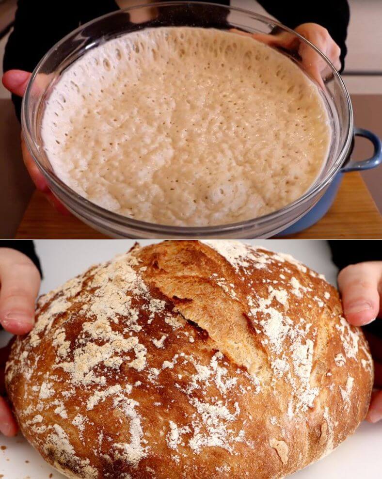 3 Ingredient Italian No Knead Bread | The Easiest Way to Make Bread ...